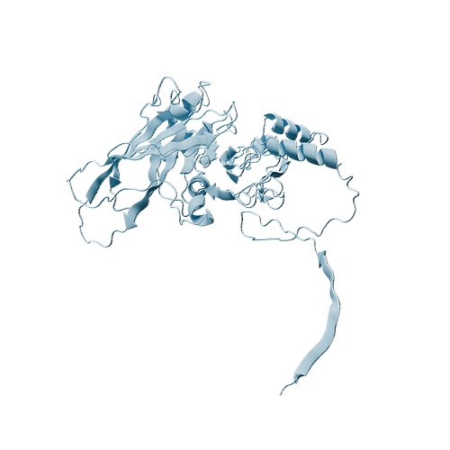 Human/Mouse/Rat BMP-2|Recombinant Human/Mouse/Rat BMP-2; Bone ...